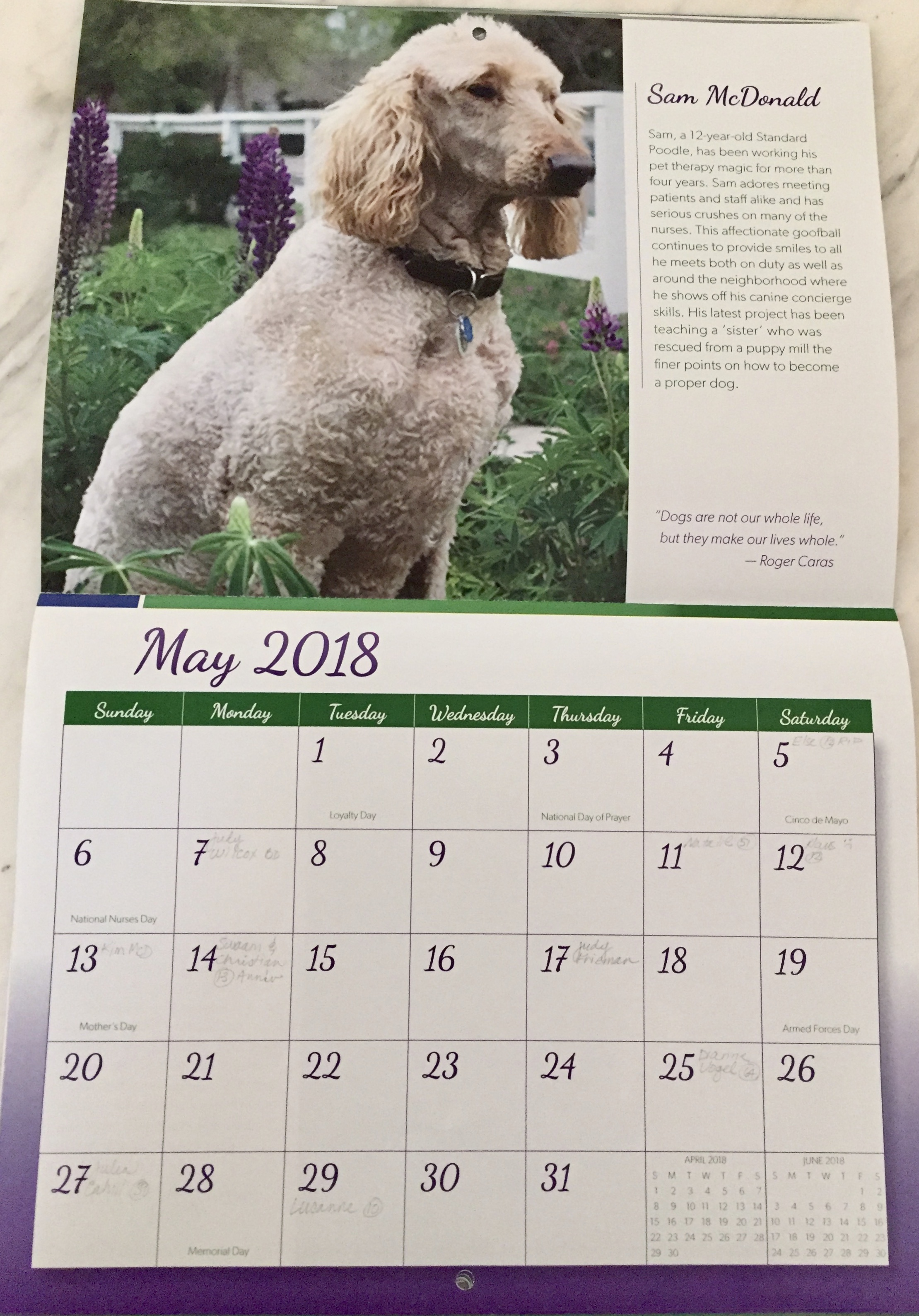 May Day Model – Tails Around the Ranch
