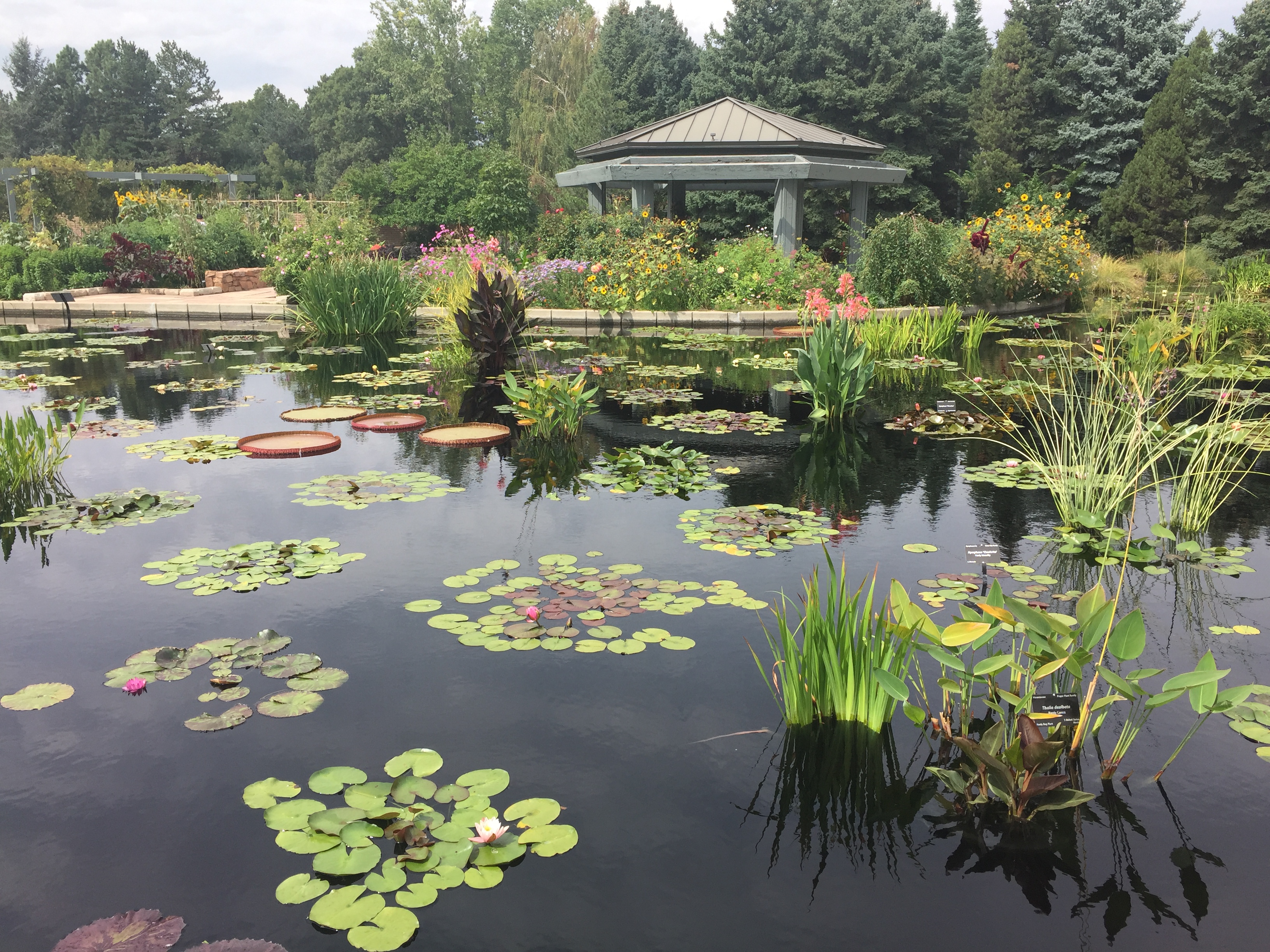 Wandering Wednesday – Tails Around the Ranch