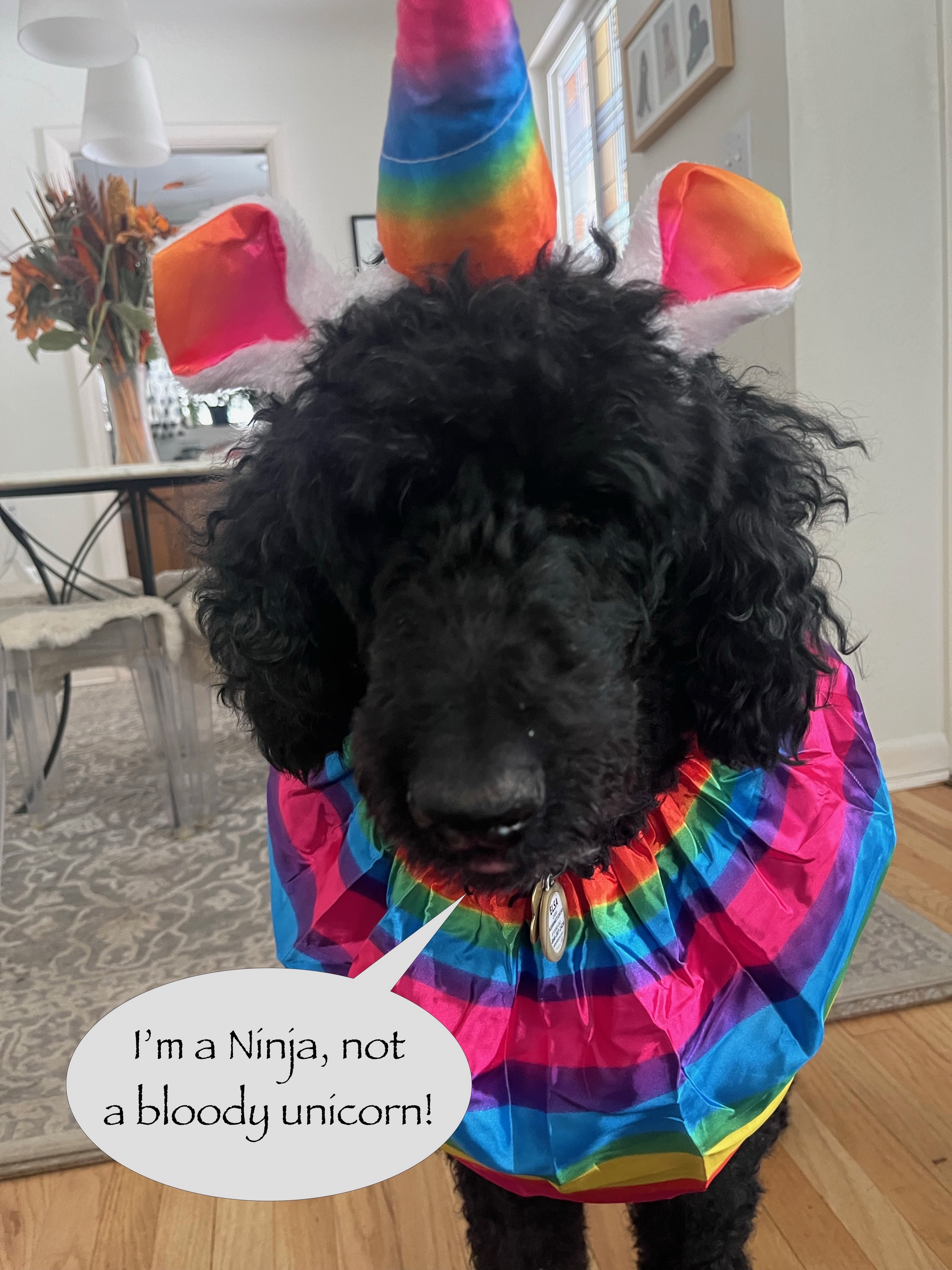 Howl-oween 2023 – Tails Around the Ranch