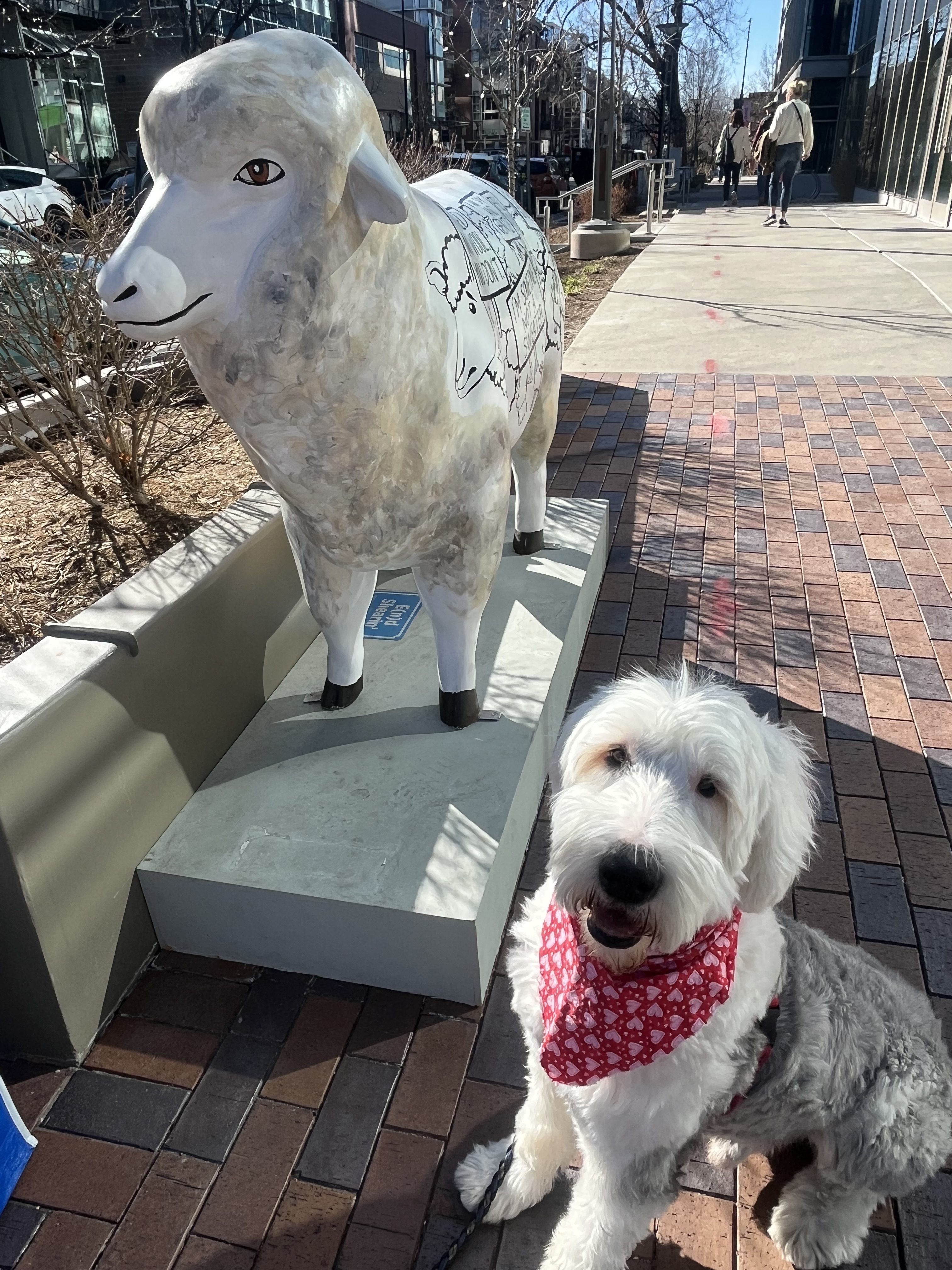 Monday Musings ~ February 16, 2026 – Tails Around the Ranch